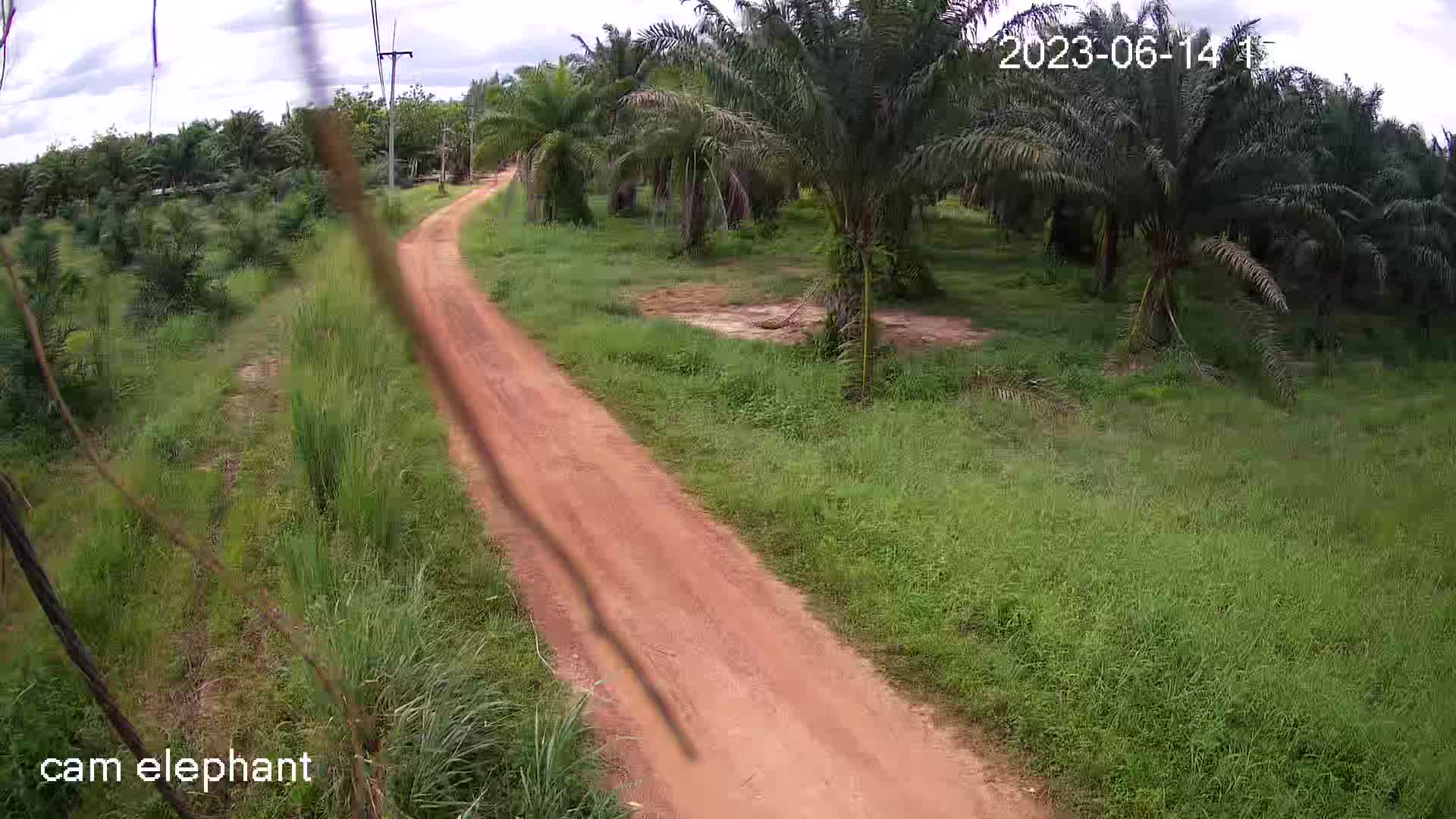 Elephants_14 Object Detection Dataset (v1, V20) by Ultimate