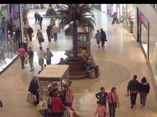 Crowd Object Detection Dataset by People