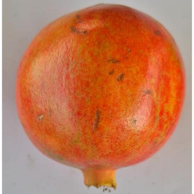 How to Use the pomegranate-grading-segmentation Instance Segmentation API