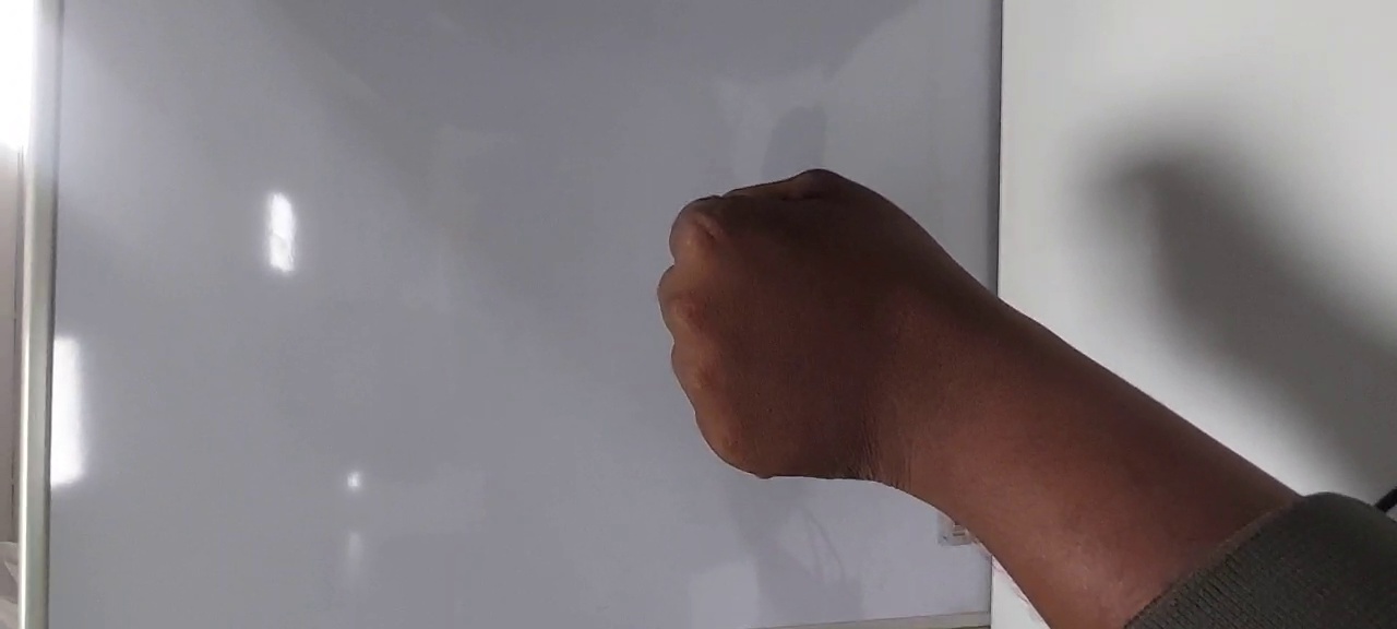 hand_segmentation Instance Segmentation Model by flower labeling