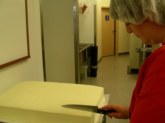 Coco Dataset Object Detection Dataset By Coco