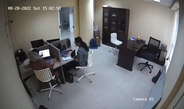 Detect Object Detection Dataset And Pre Trained Model By Data
