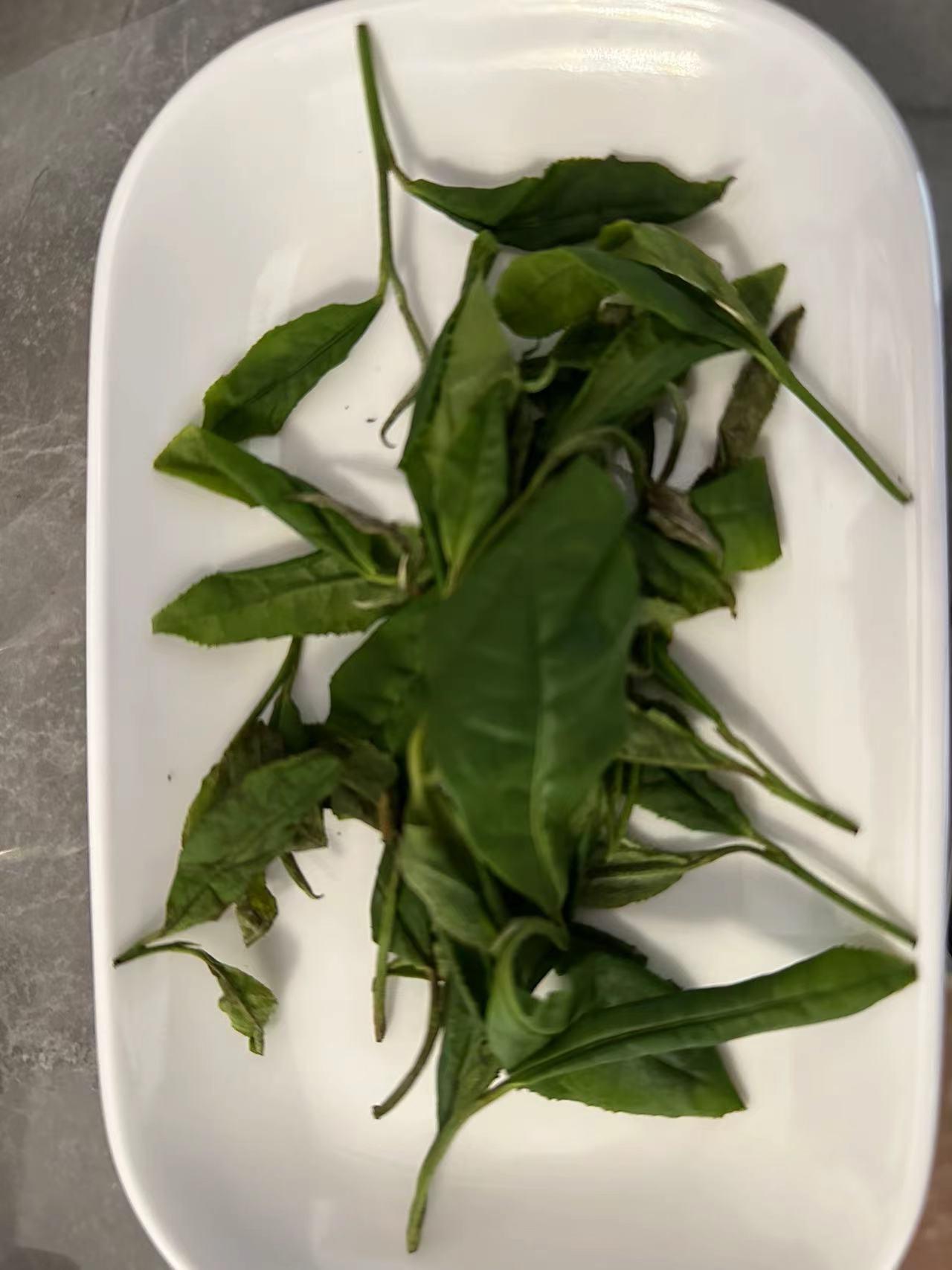 pmh - Roboflow Universe