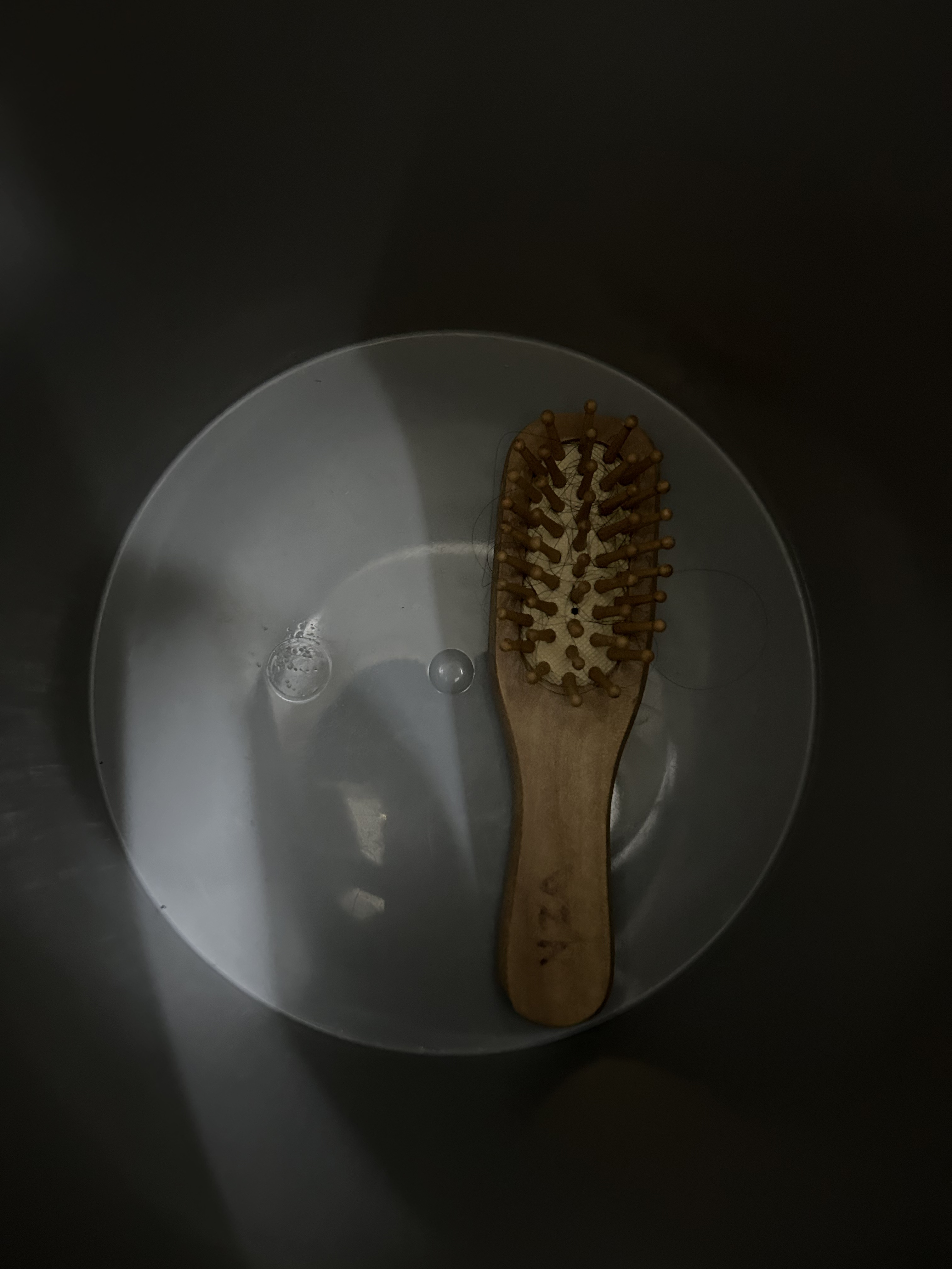 Waste Classification Object Detection Model by FYP ZULAIKHA