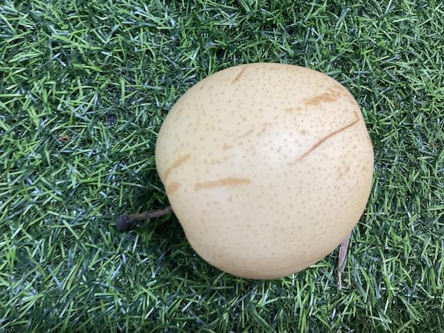 Detect Fruits Object Detection Dataset And Pre Trained Model By Graspfruits