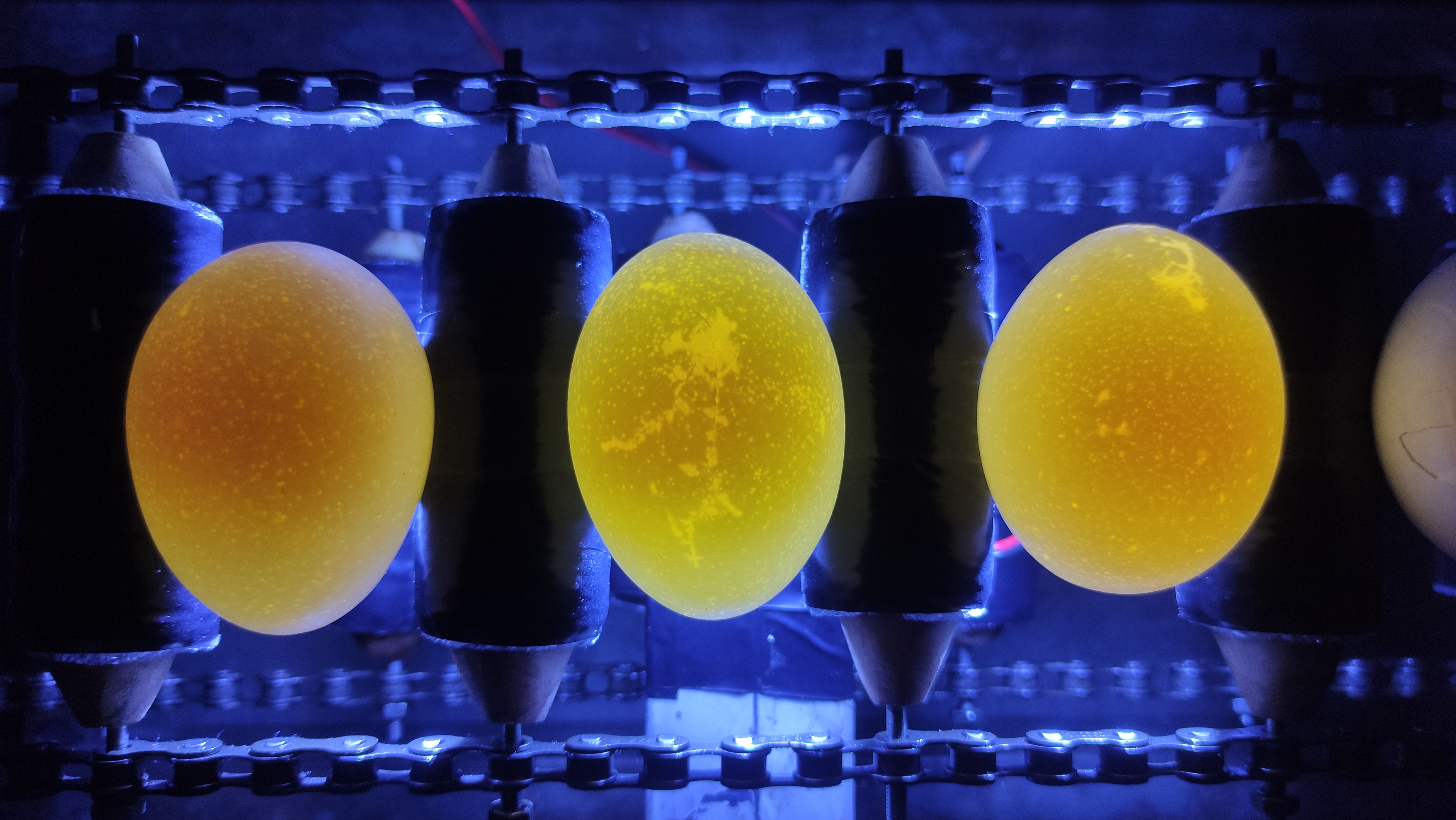 egg sort Object Detection Dataset by acc