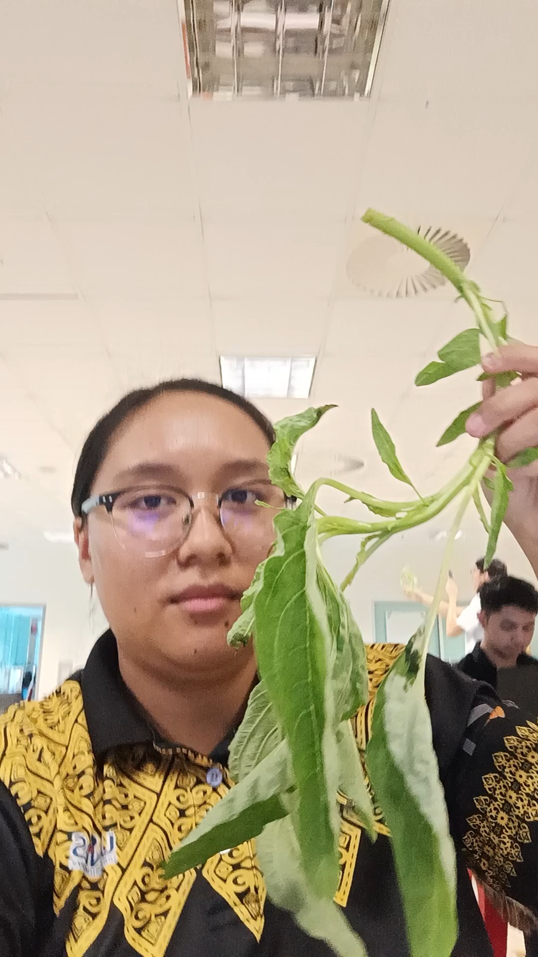 sayur Object Detection Dataset by vegetables