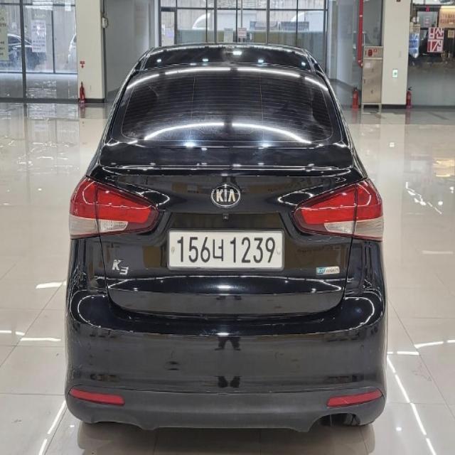 license plate segmentation Instance Segmentation Model by project