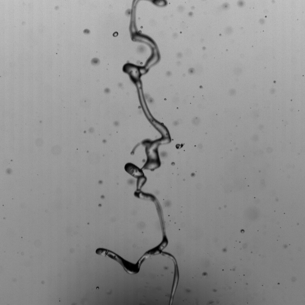 autotrain_drip Object Detection Model (v1, 2024-07-13 1:03pm) by ...