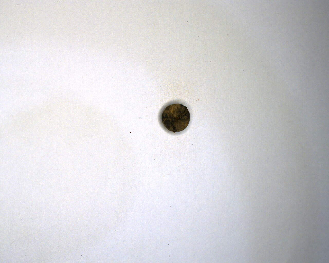 Coffee V5 Object Detection Model By Kmitl