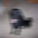 Dogs_Cats_dataset Classification Dataset by Project