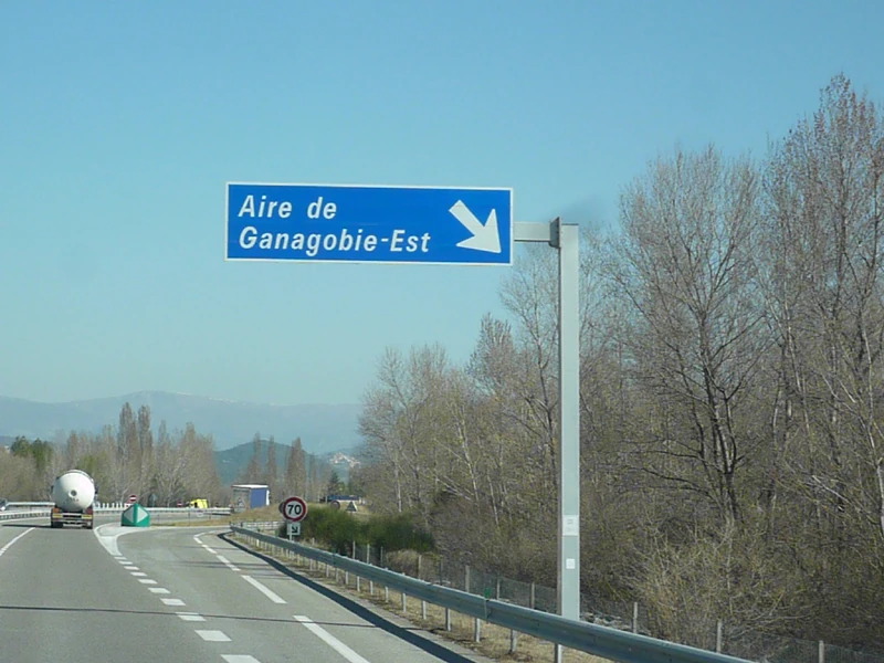 Mini Project Object Detection Model By Miniprojet