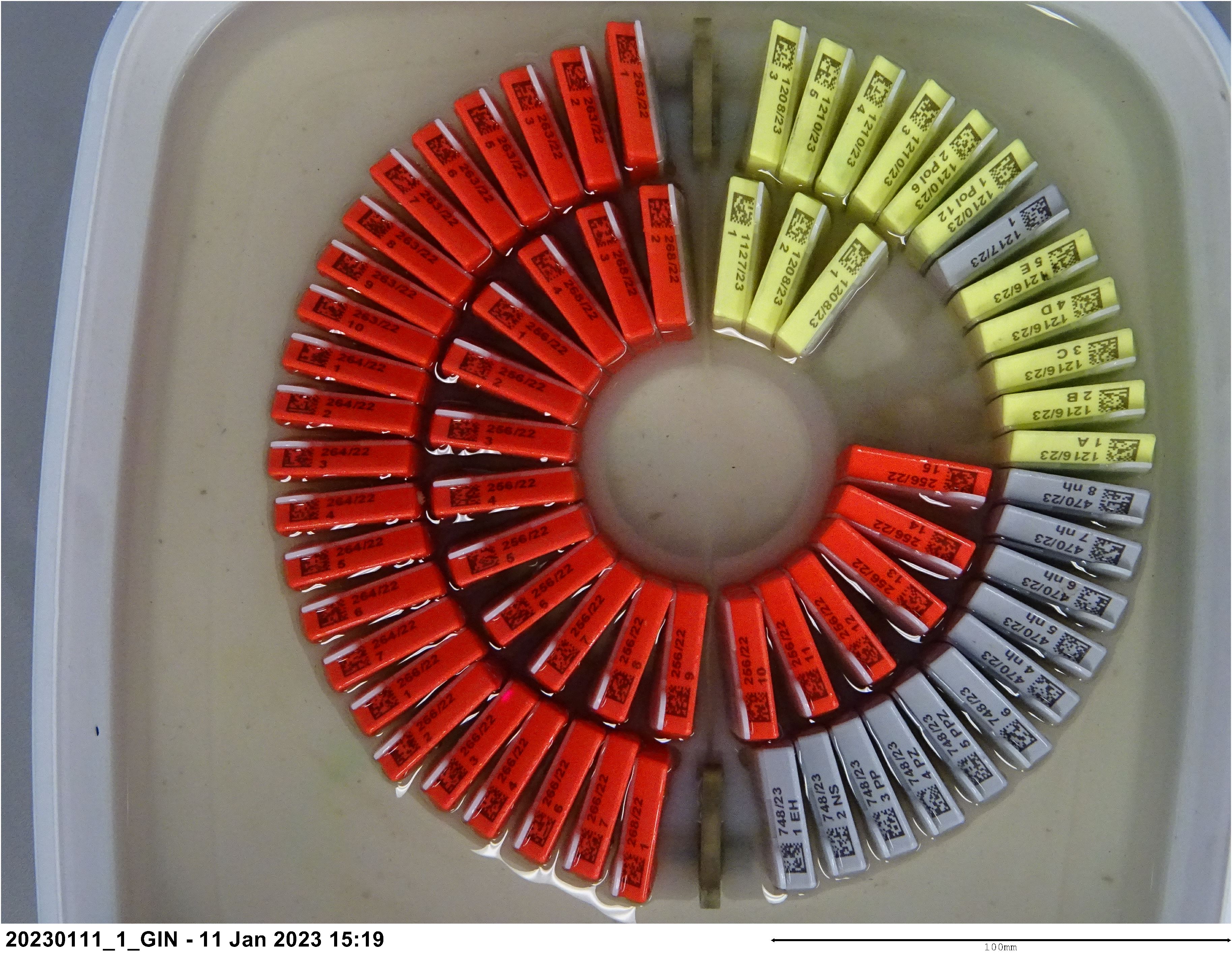 path Instance Segmentation Dataset and Pre-Trained Model by patho