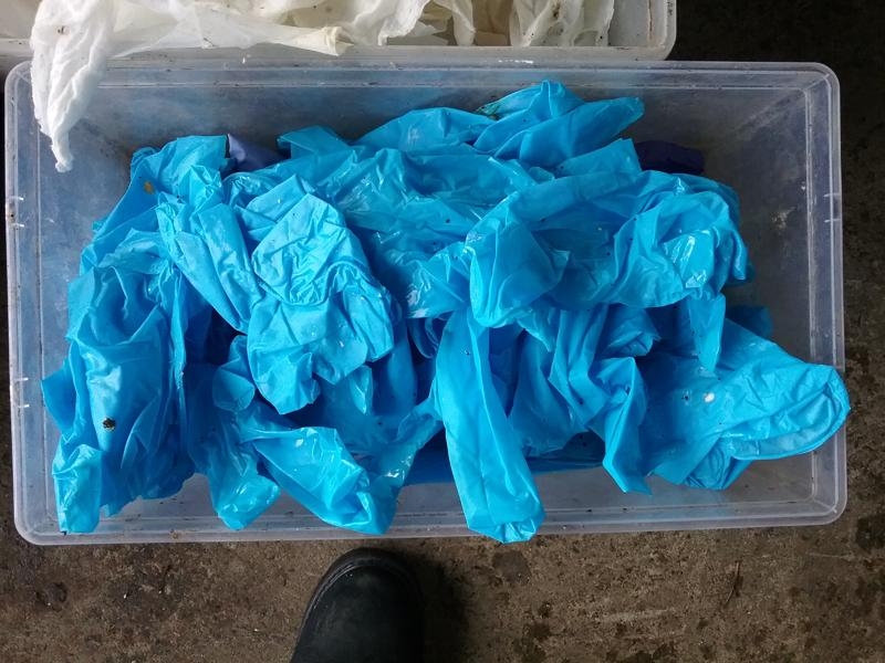 best Object Detection Model by hackathon