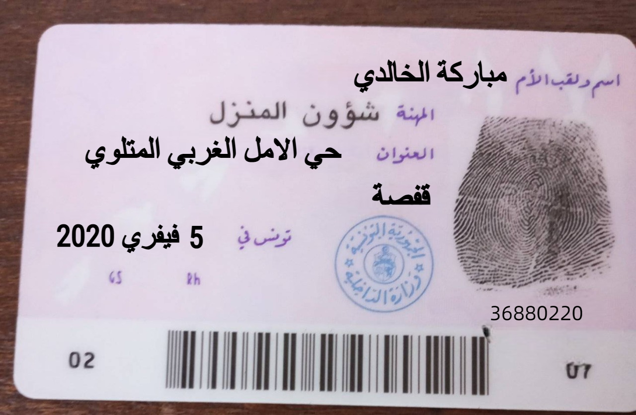 CIN folder Object Detection Dataset and Pre-Trained Model by eldonsnl