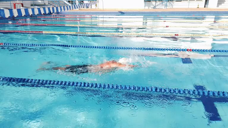 Swimming Drowning 2 Object Detection Model By Se