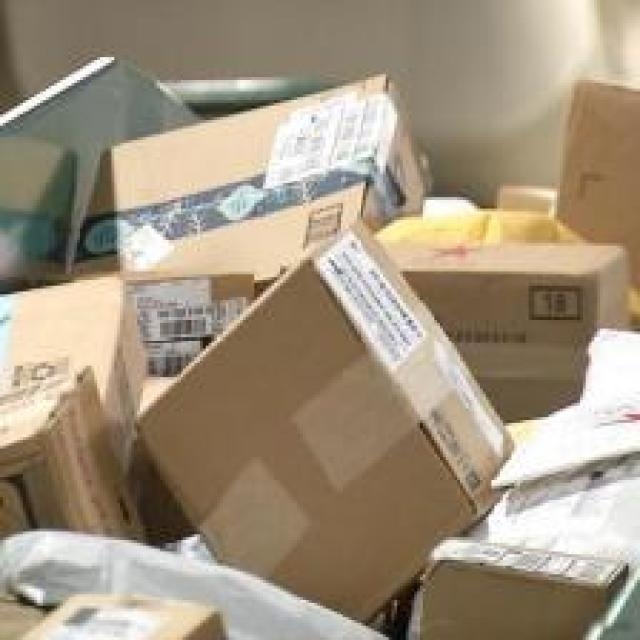 kutu segmentation Instance Segmentation Dataset and Pre-Trained Model by Bitirme