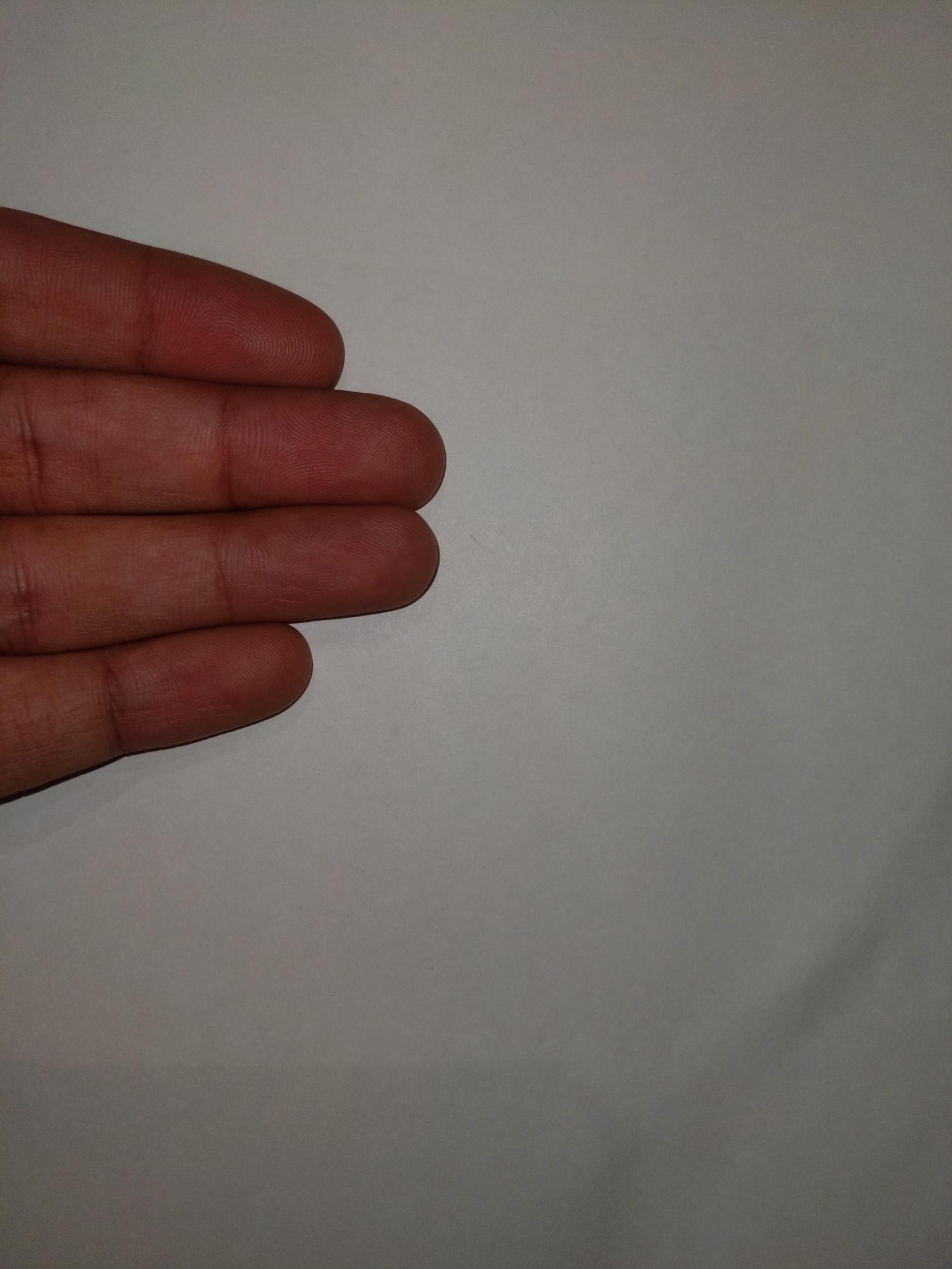 bio Object Detection Model by ub