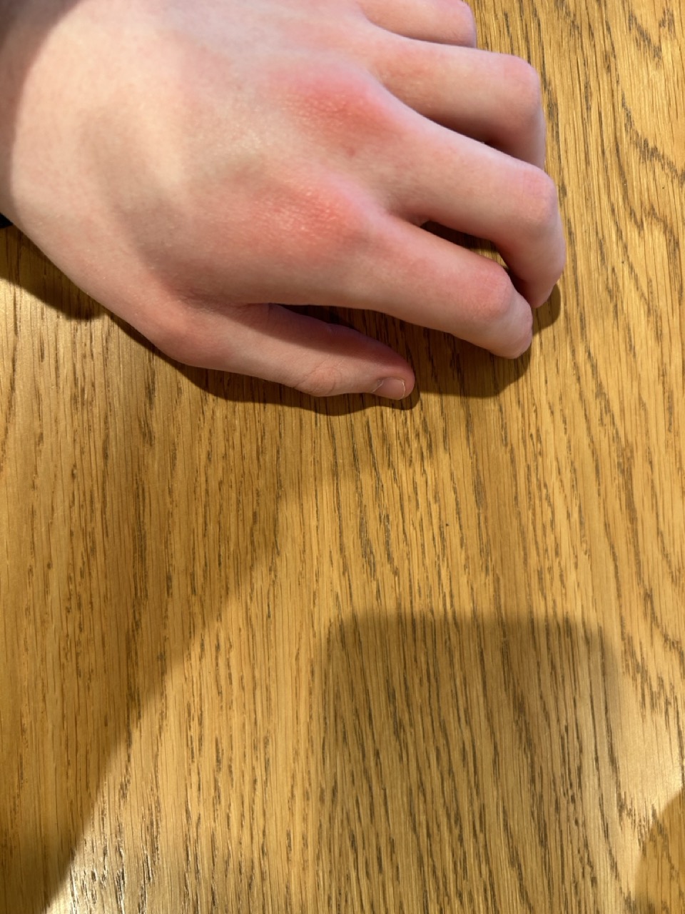 Lego Assembly Object Detection Model by capjamesg