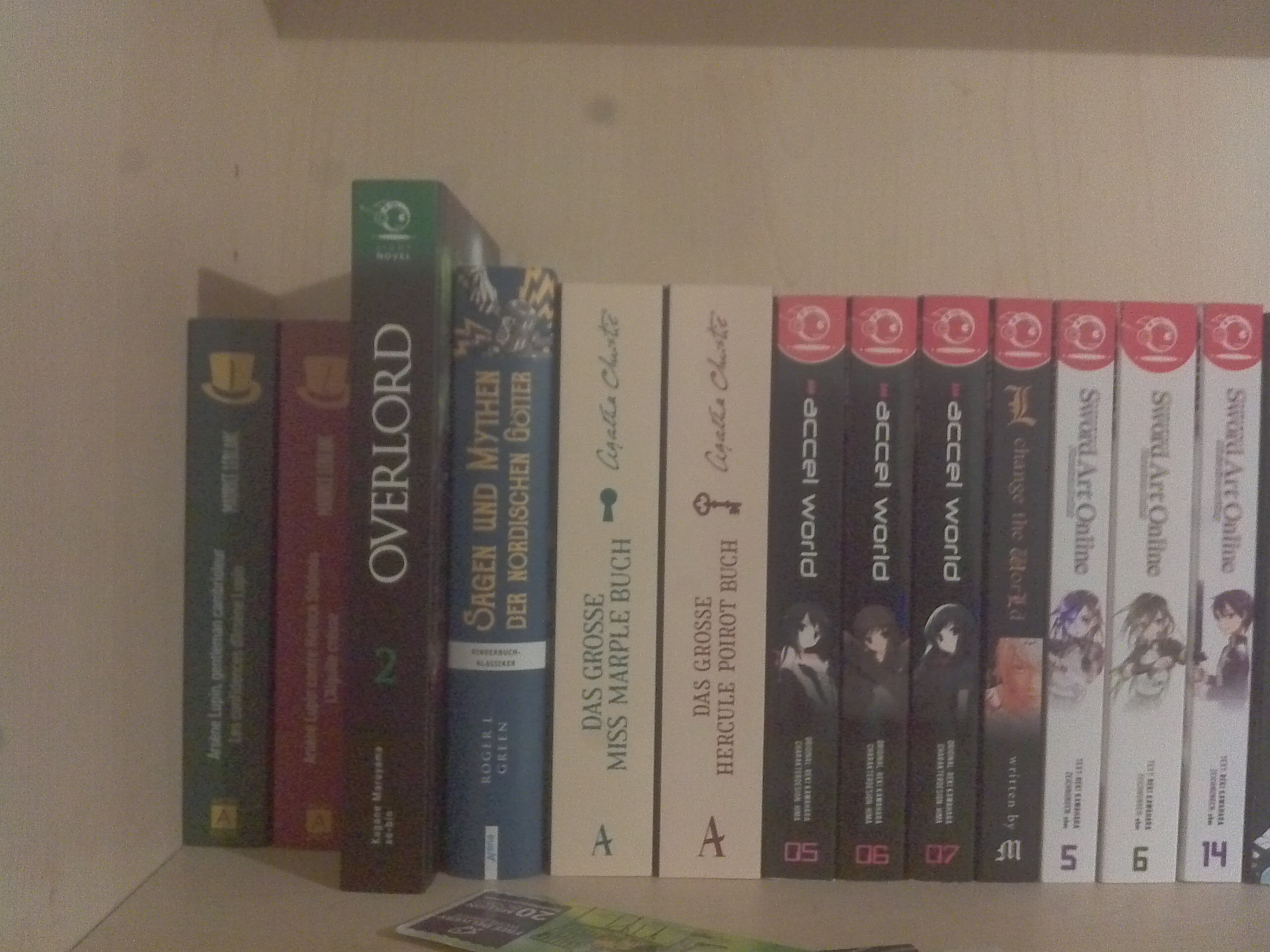 Open Shelves Instance Segmentation Model By Capjamesg