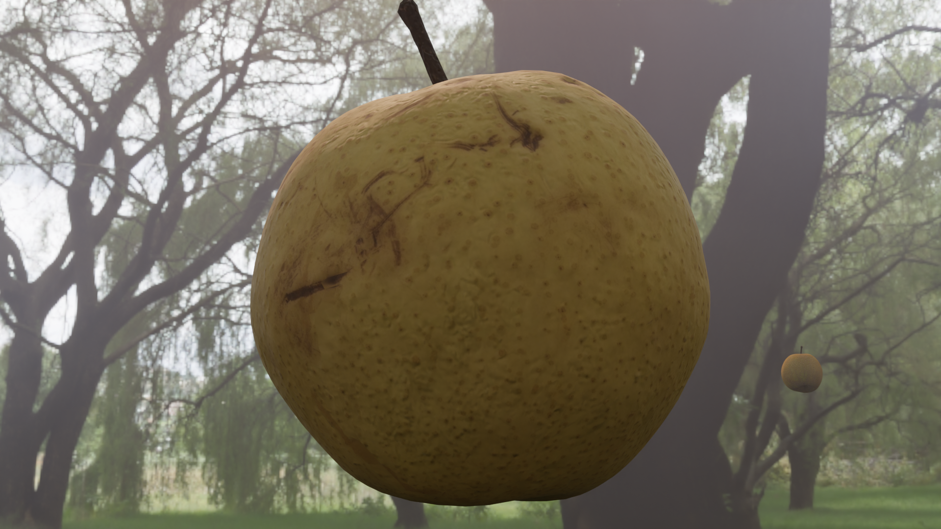 one pear Object Detection Model by pear tree