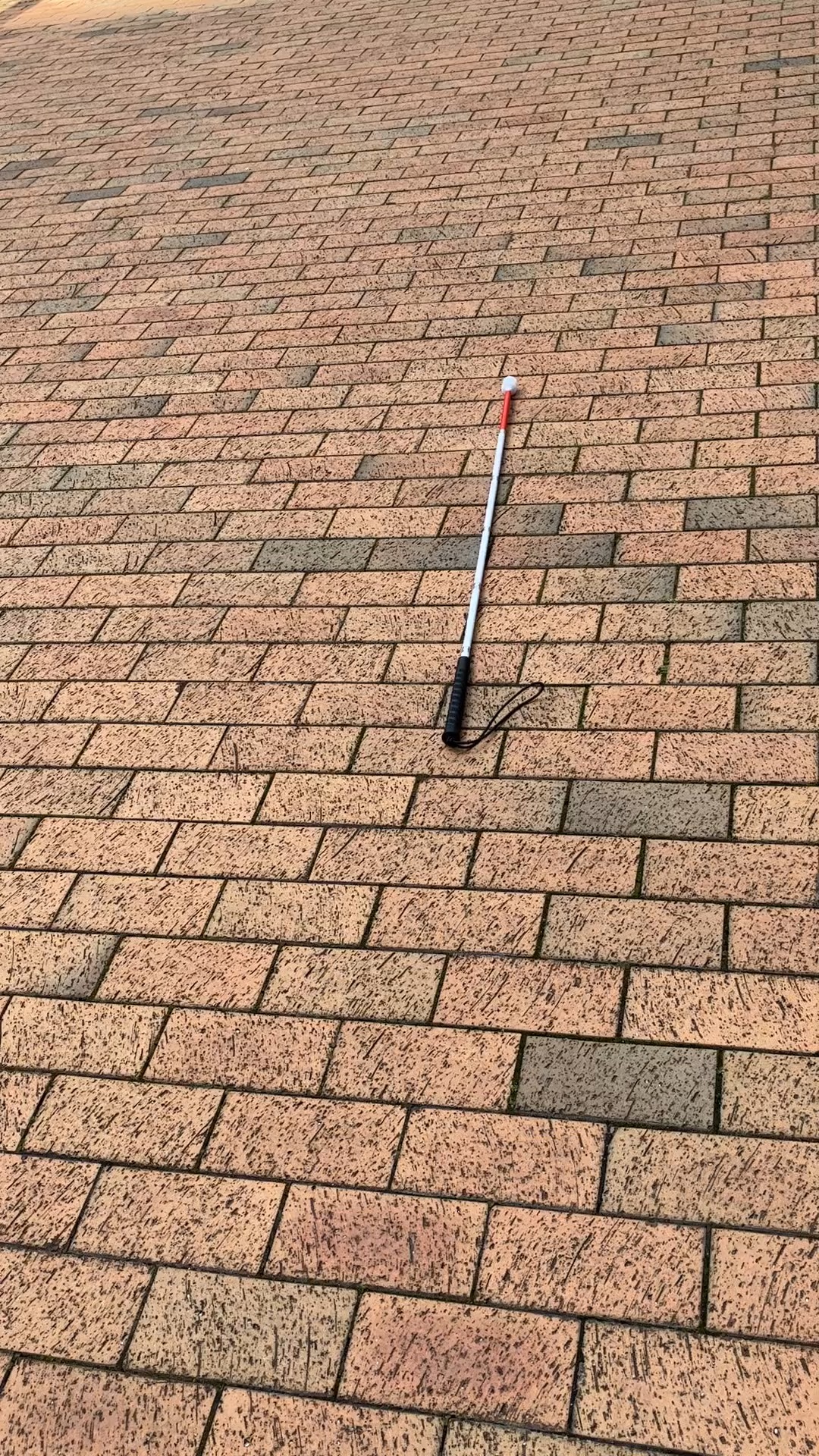 white-cane-3 Object Detection Dataset by Tra Nguyen1