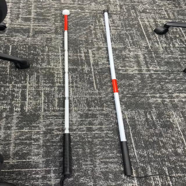 yolox_cane_umbrella Object Detection Dataset by Tra Nguyen1