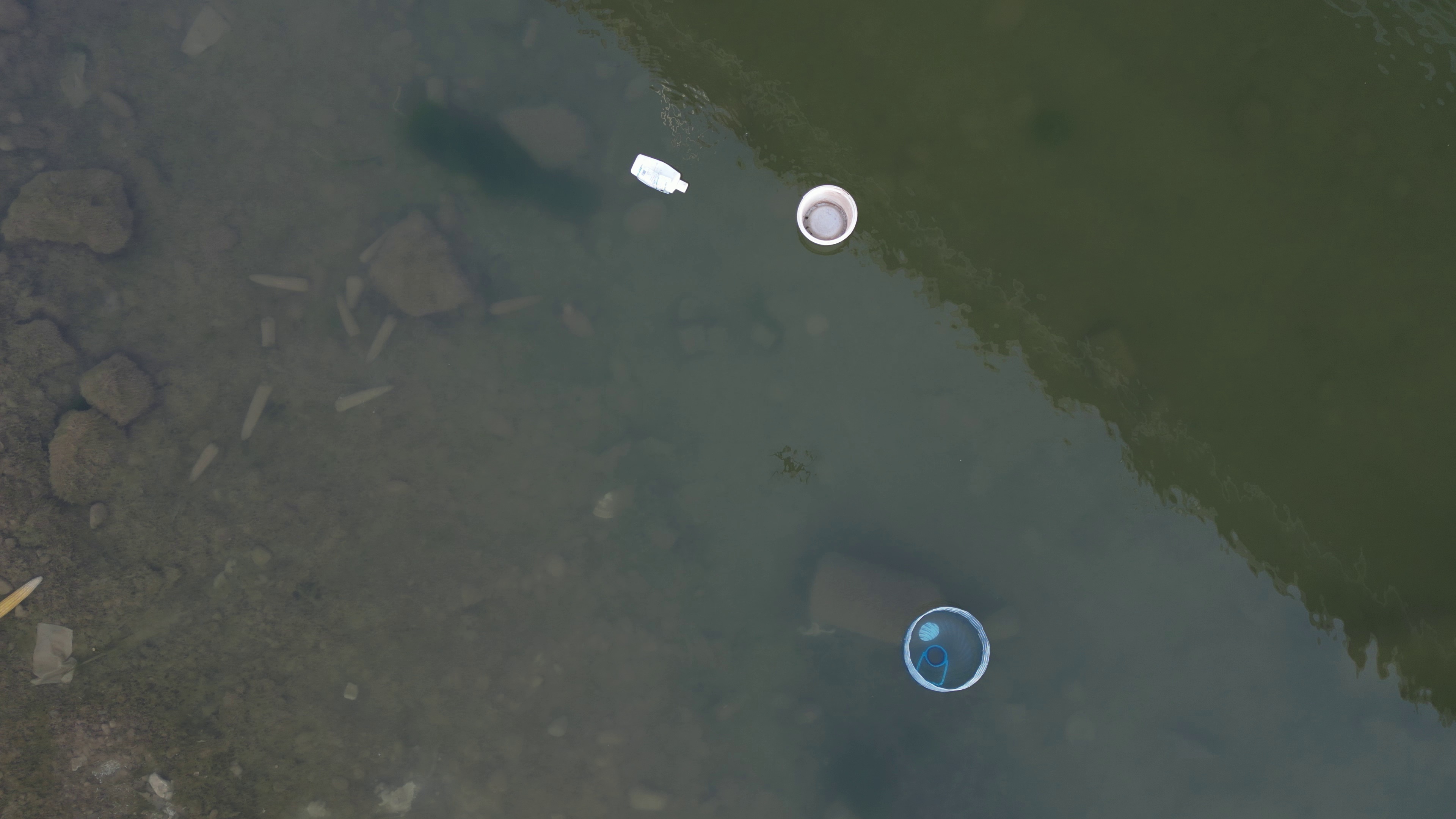 water pollution Object Detection Dataset and Pre-Trained Model by rishi