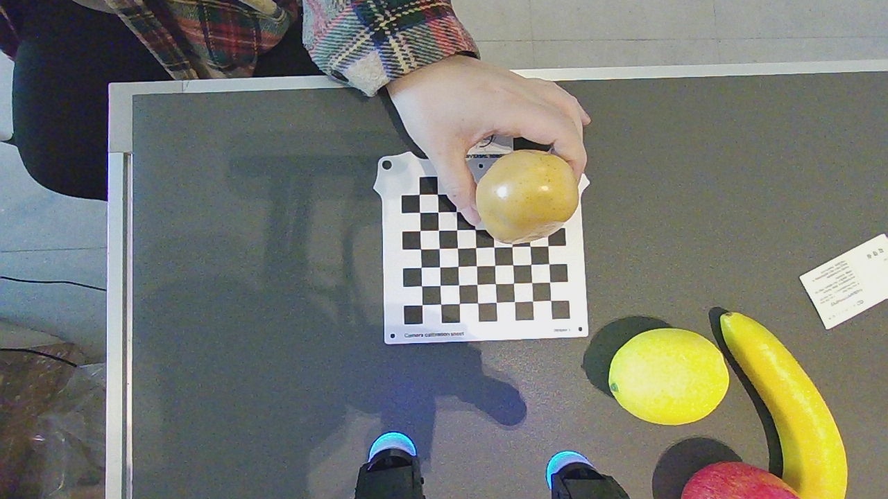 frutis_seg Instance Segmentation Dataset by hansol