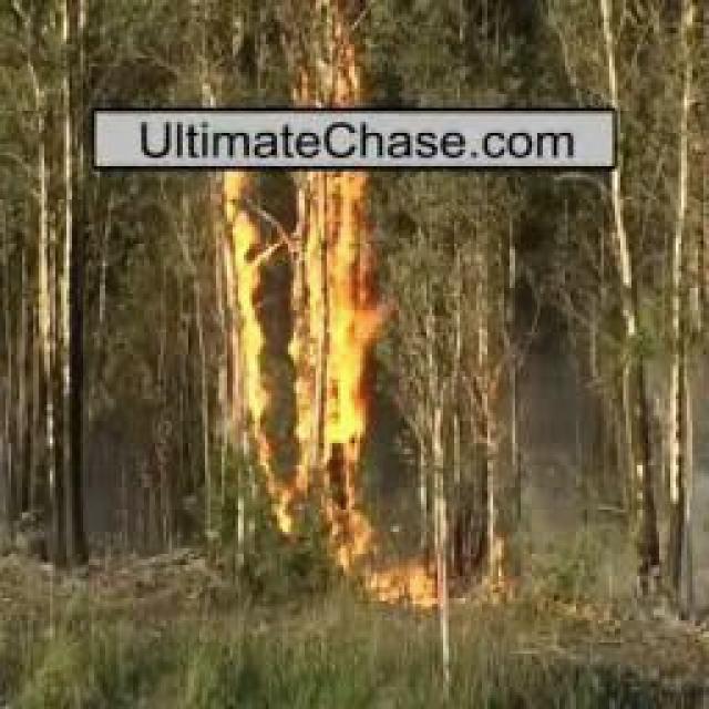 Fire Detect Object Detection Dataset By Accelerators