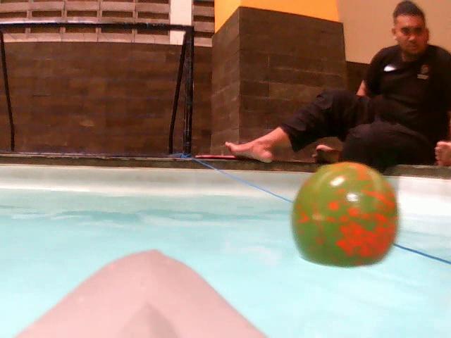 How to Use the red green Object Detection API