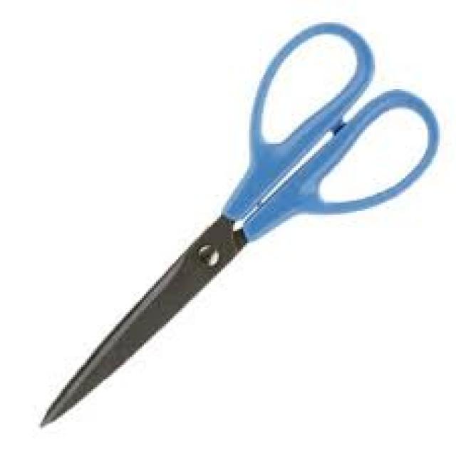 scissors Object Detection Dataset by Hanyang