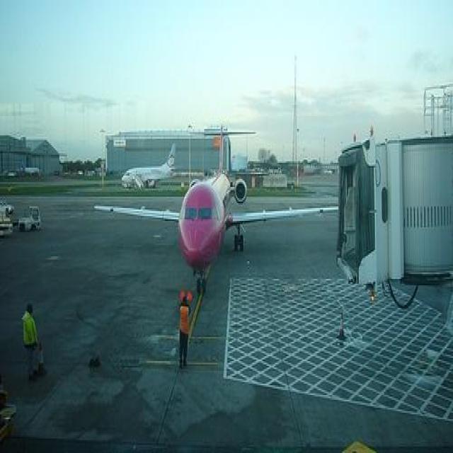 Trafik Işiklari Object Detection Model By Meltem