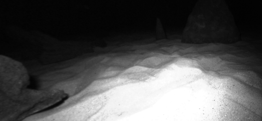 crater Instance Segmentation Dataset by DFKI