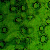 Computer Vision Workspace (computer-vision-workspace-9xqnu) - Roboflow ...