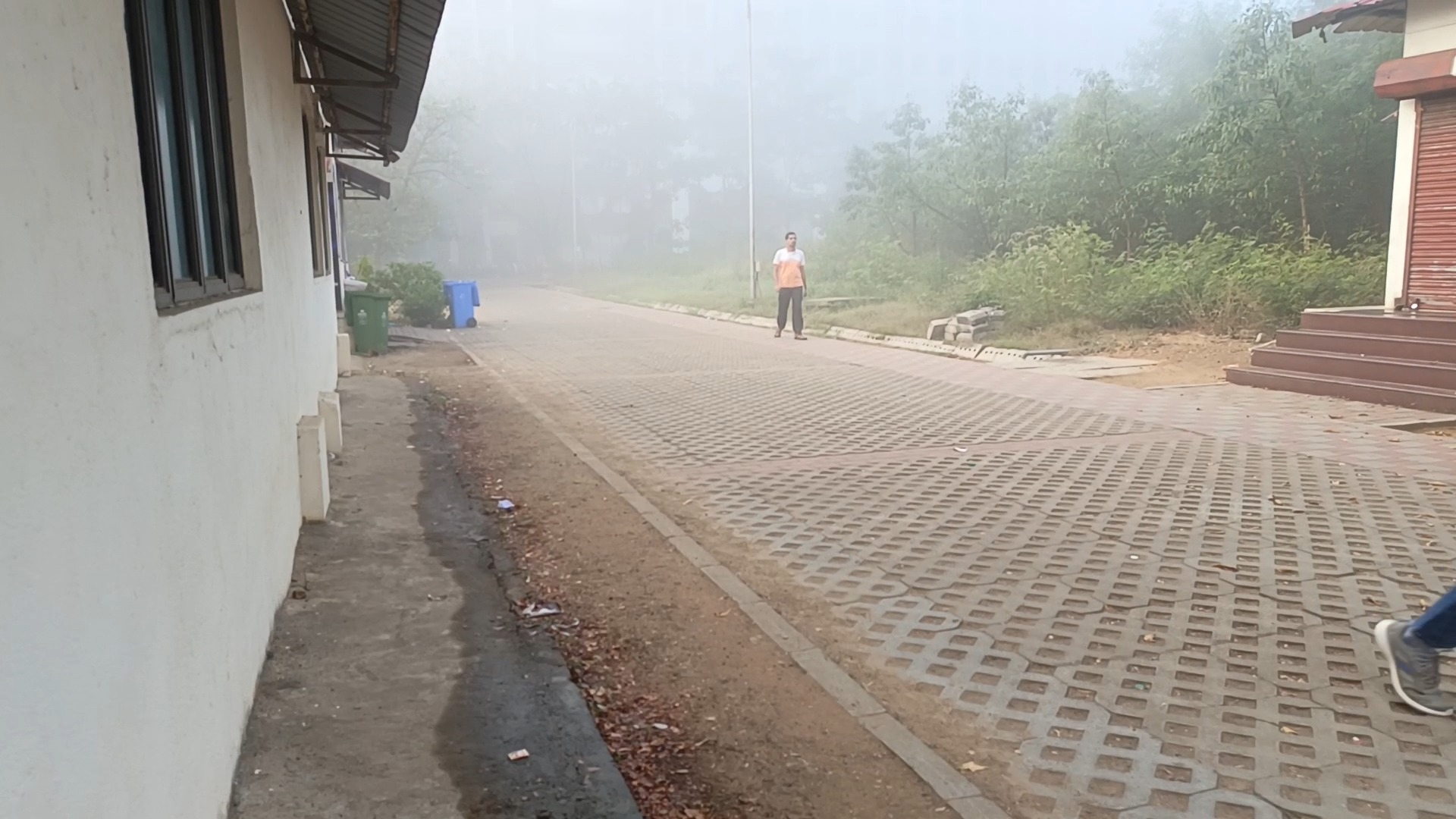Pedestrian Detection Fogg 11 Object Detection Dataset By Pedestrian