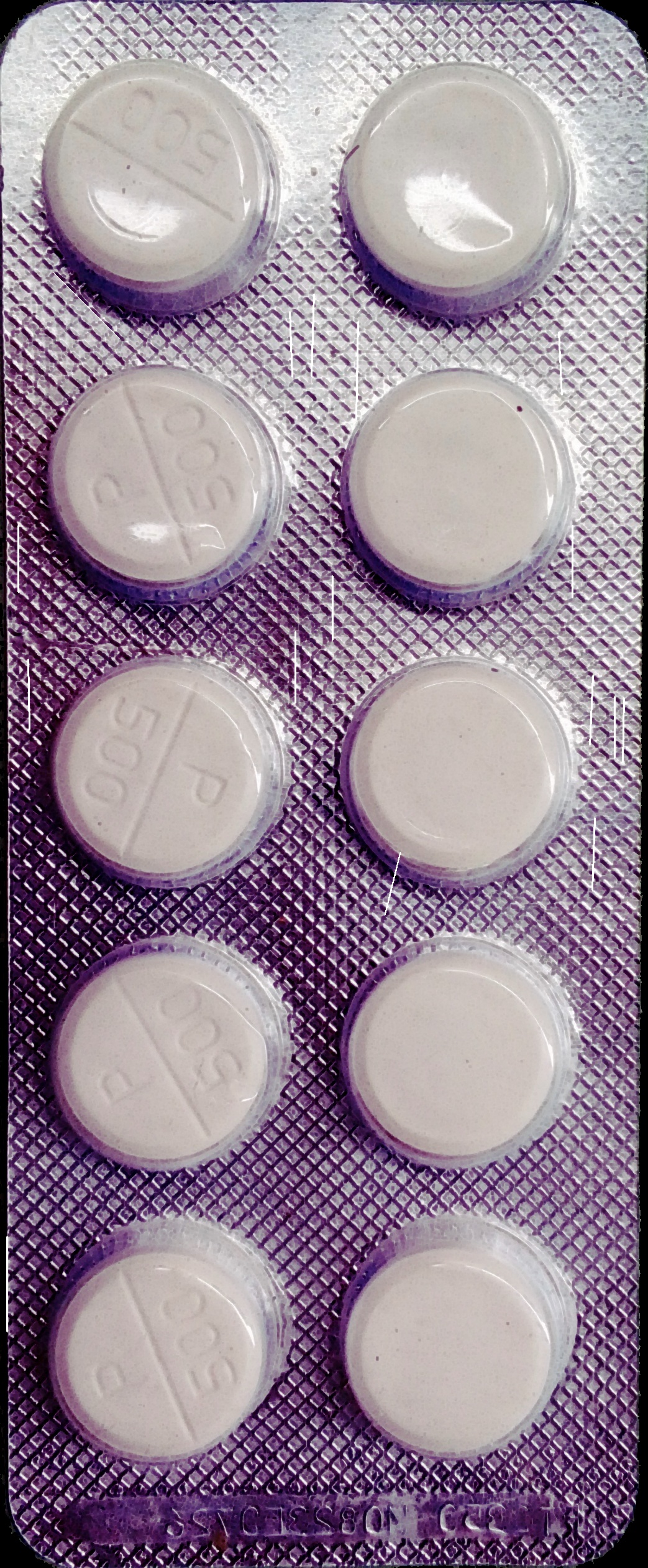 BRISTE - Roboflow Universe