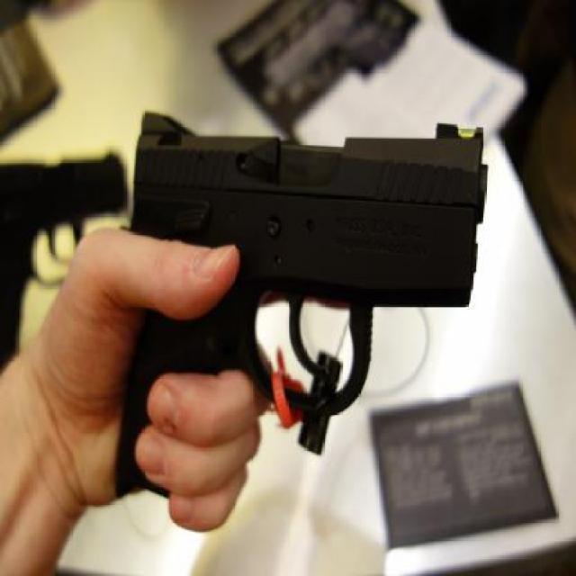 gun-detect-ten Object Detection Dataset by GunKrub