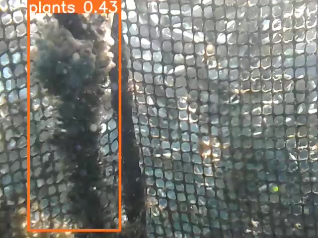 Infrared polarization Object Detection Dataset by pianzhen