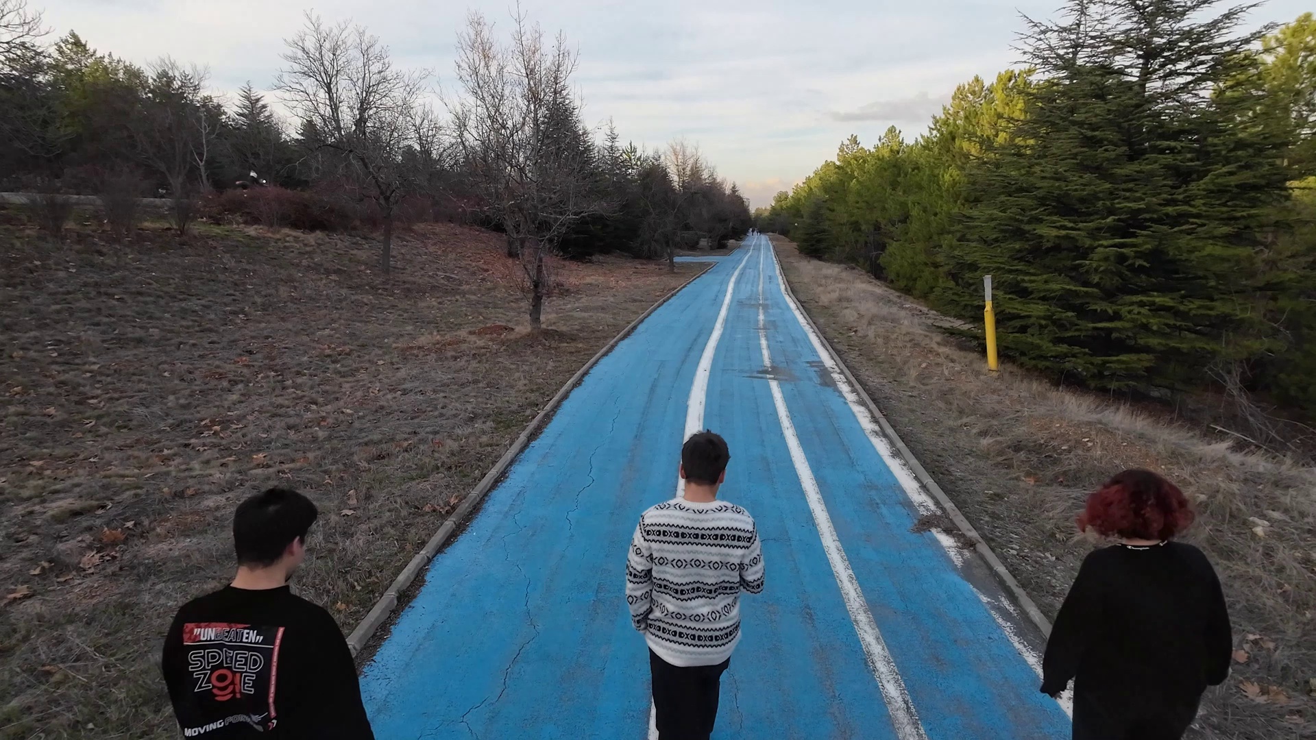 3_people_1_annotations Object Detection Dataset by walkway project