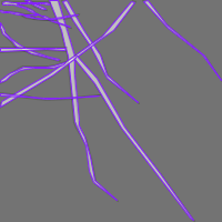 Corn Apple Leaf Branch Dataset - Roboflow Universe