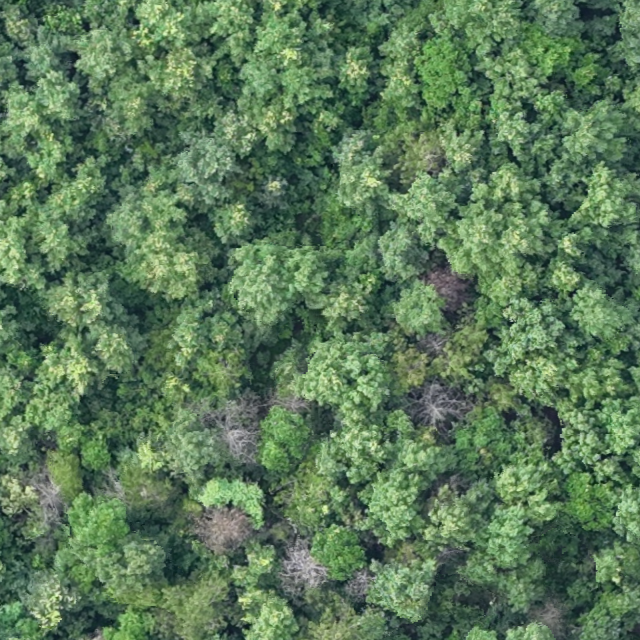 TEST_YOLO_V10 Object Detection Model by T01