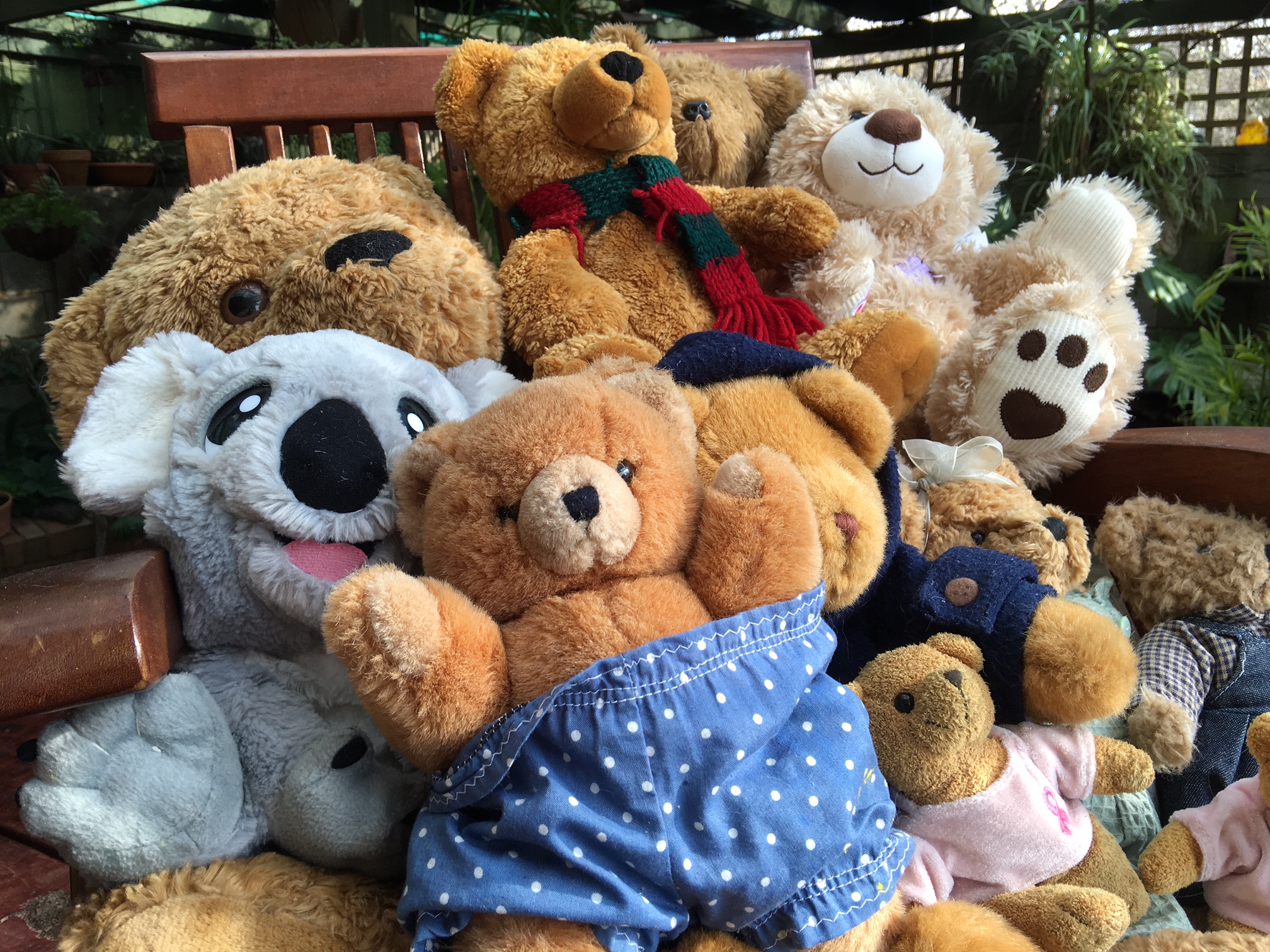 Objectdetection Doll Object Detection Dataset And Pre Trained Model By Projectsurveillance