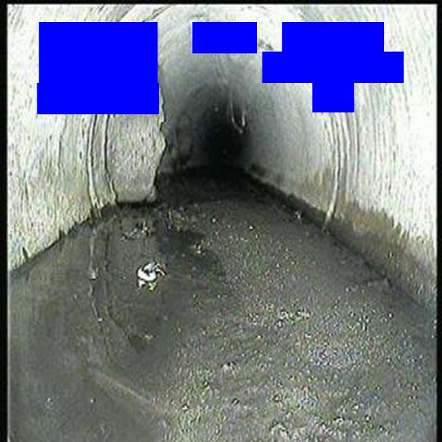 sewer lp and ds Object Detection Dataset by datazainay