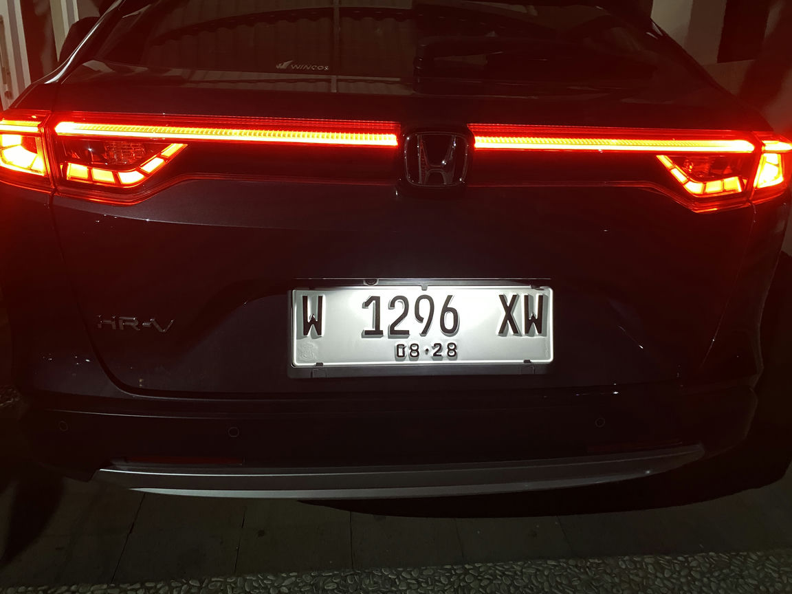 TA-alvin 3 Instance Segmentation Dataset by Revitos workspace