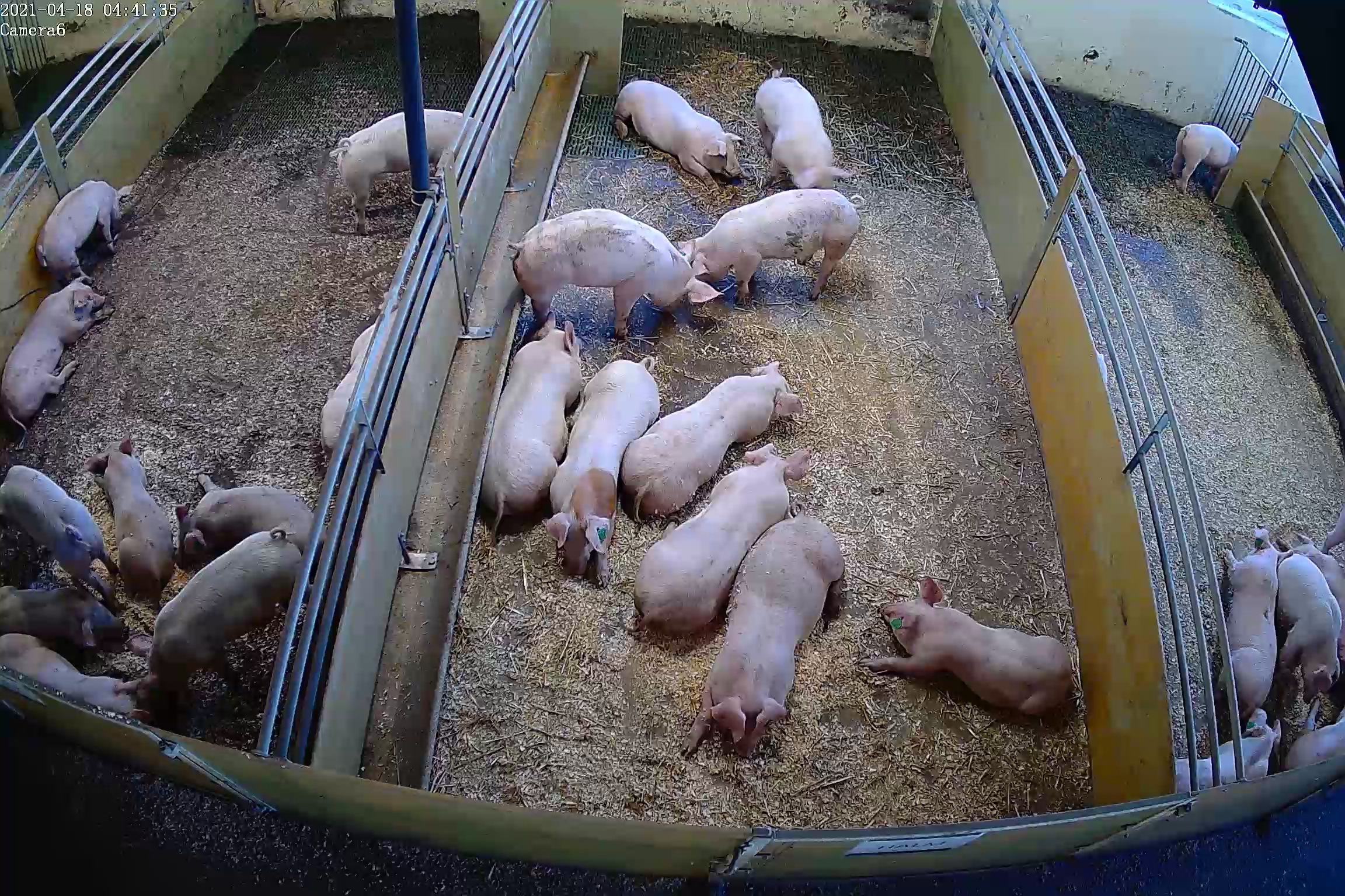 123 Object Detection Dataset by bestitz(Rui)