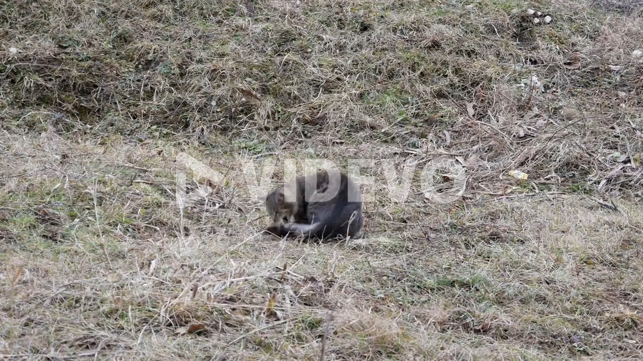 project3_tracking Object Detection Dataset by lab1