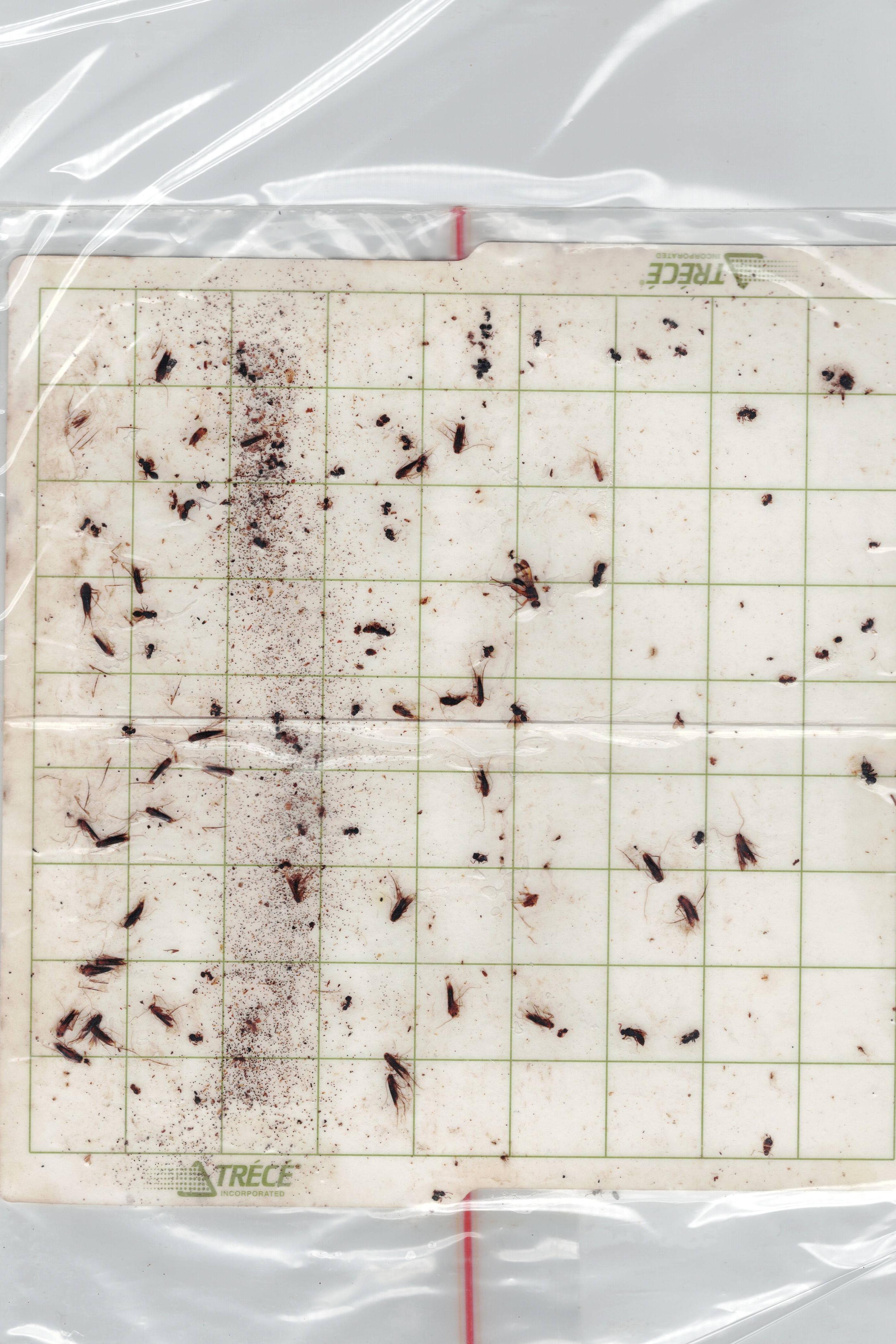 batch 7 Object Detection Dataset by EPICMap