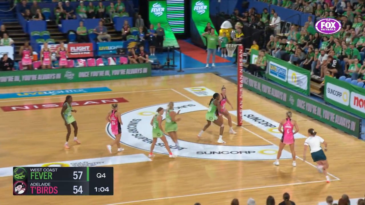 super_netball Object Detection Dataset by donontech