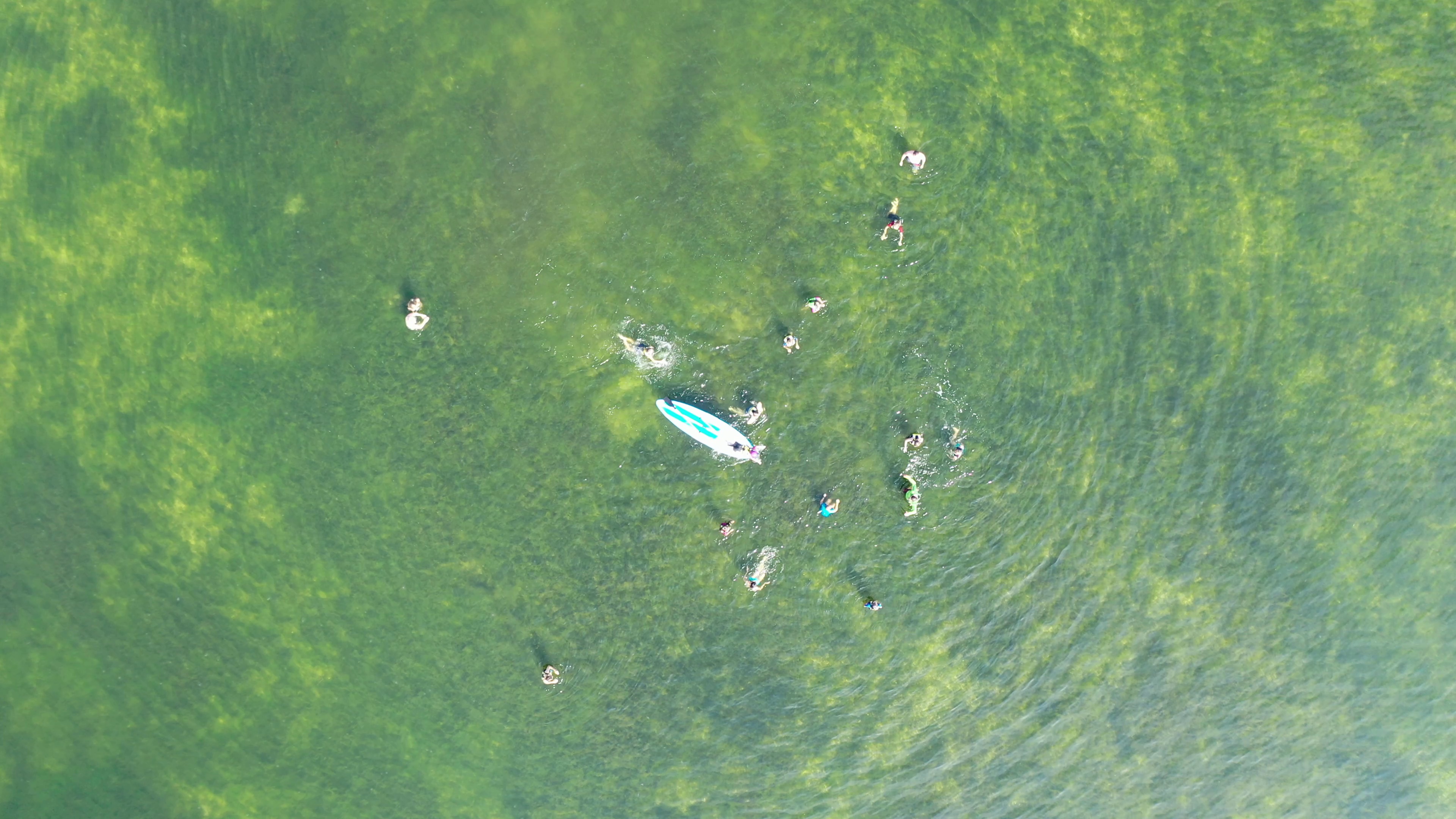 afo train Object Detection Dataset by Vincent Lgs